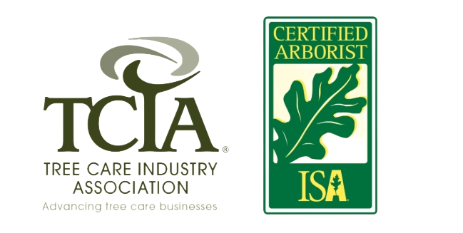 Trailhawk Tree Experts | Professional Tree Care in Central Jersey