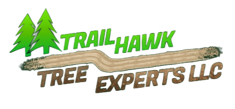 Trailhawk Tree Experts | Professional Tree Care in Central Jersey